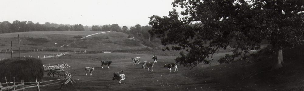 History - Normandy Farms Campground
